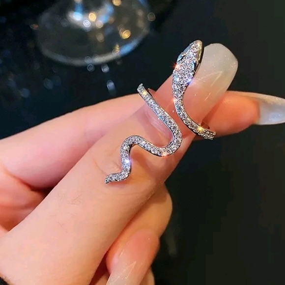 Jewelry | Gothic Shining Snake Ring | Poshmark
